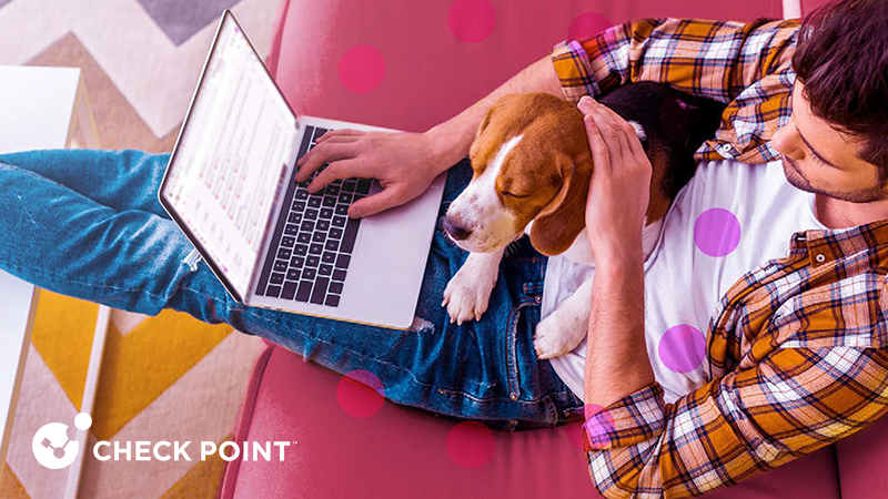 Harmony Program - 3marketeers